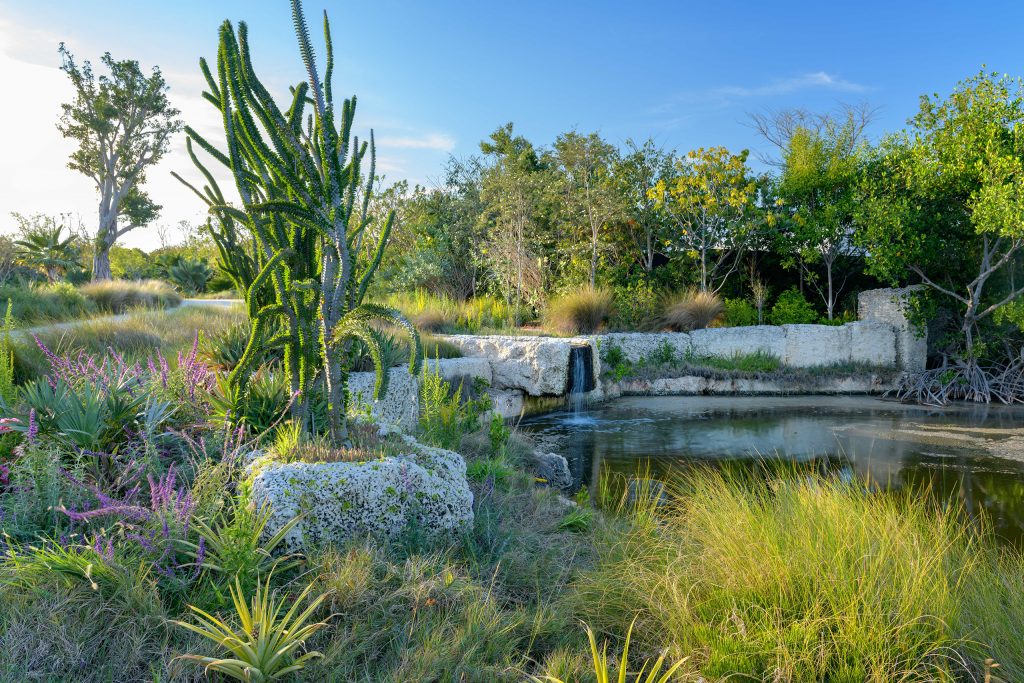 Coccoloba Garden | Raymond Jungles, Inc.